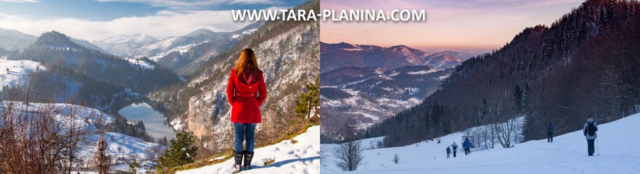 Markirane planinarske staze na Tari - link