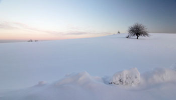 Tara planina - Nacionalni park "Tara"